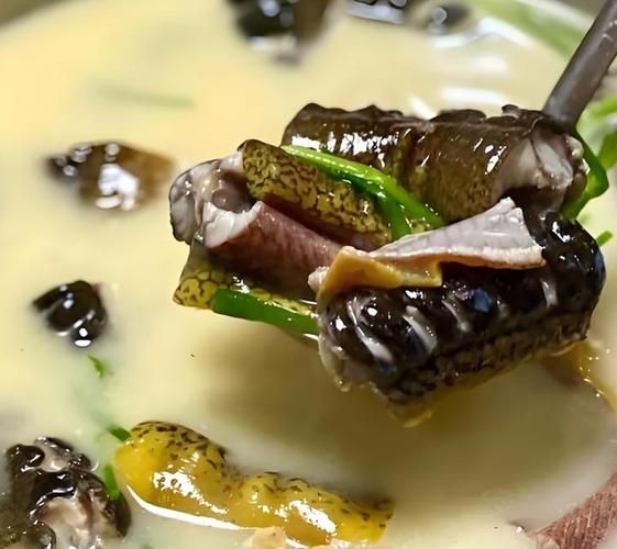 黄鳝汤怎么煲好喝_黄鳝汤做法步骤详解-第3张图片-山城妙识 黄鳝汤怎么煲好喝_黄鳝汤做法步骤详解-第3张图片-山城妙识