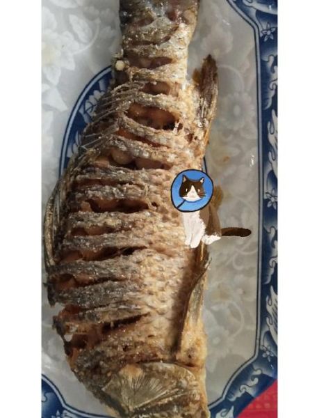 红烧鲤鱼怎么做好吃_家常红烧鱼做法-第1张图片-山城妙识