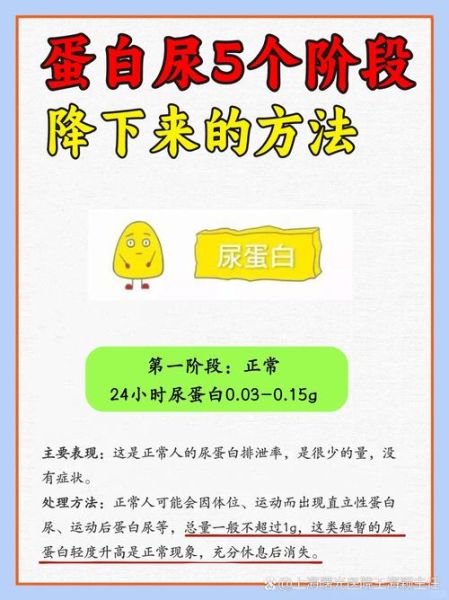 蛋白尿是什么症状_蛋白尿能自愈吗-第1张图片-山城妙识