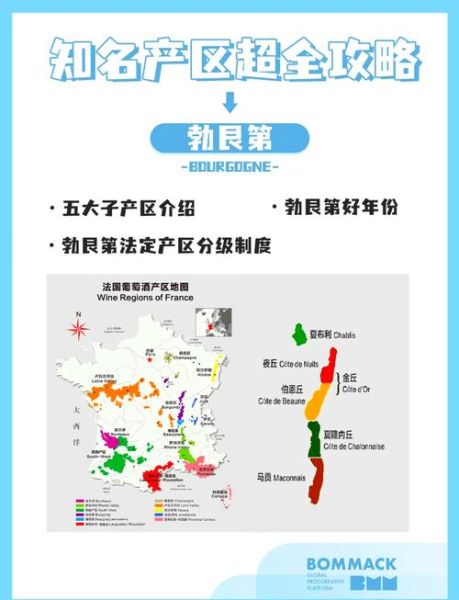 葡萄酒哪里产的最好_全球顶级产区深度解析-第2张图片-山城妙识 葡萄酒哪里产的最好_全球顶级产区深度解析-第2张图片-山城妙识