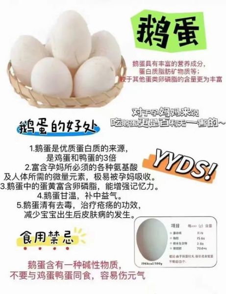 鹅蛋的营养价值高吗_鹅蛋和鸡蛋哪个营养好-第1张图片-山城妙识