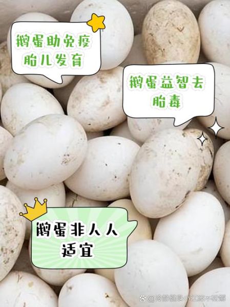 鹅蛋的营养价值高吗_鹅蛋和鸡蛋哪个营养好-第2张图片-山城妙识