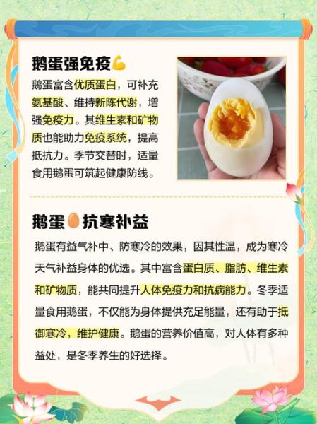 鹅蛋的营养价值高吗_鹅蛋和鸡蛋哪个营养好-第3张图片-山城妙识