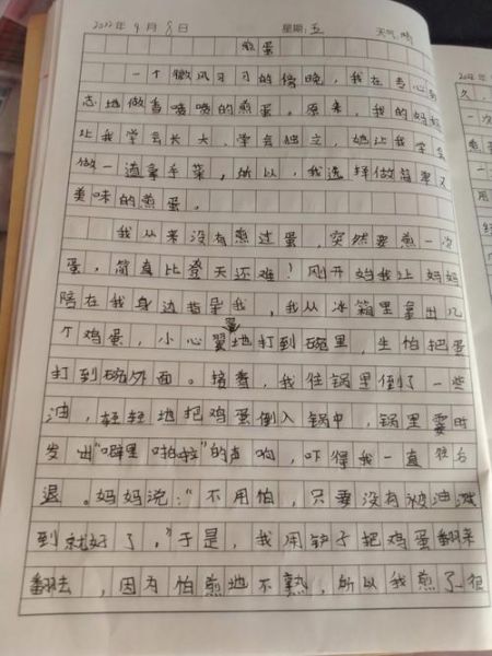 煎荷包蛋日记怎么写_煎荷包蛋日记100字范例-第3张图片-山城妙识 煎荷包蛋日记怎么写_煎荷包蛋日记100字范例-第3张图片-山城妙识