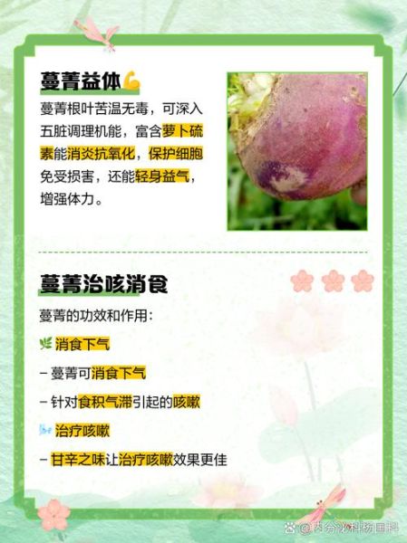 蔓菁图片功效与作用_蔓菁怎么吃效果最好-第3张图片-山城妙识