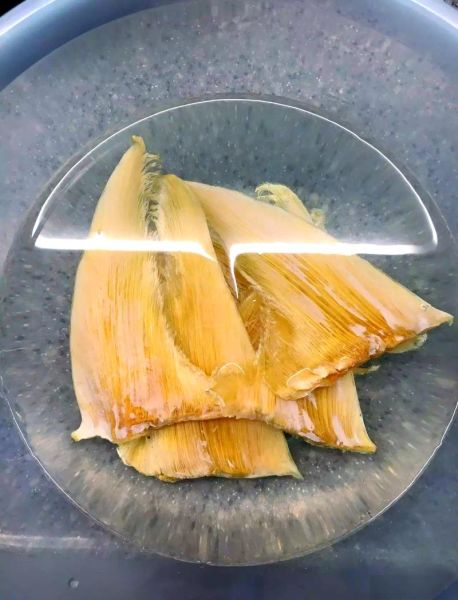 鱼翅怎么泡发_鱼翅怎么炖才好吃-第2张图片-山城妙识 鱼翅怎么泡发_鱼翅怎么炖才好吃-第2张图片-山城妙识