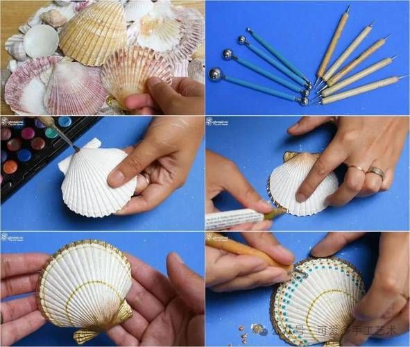 贝壳怎么洗最快最干净_贝壳清洗的正确方法-第3张图片-山城妙识 贝壳怎么洗最快最干净_贝壳清洗的正确方法-第3张图片-山城妙识