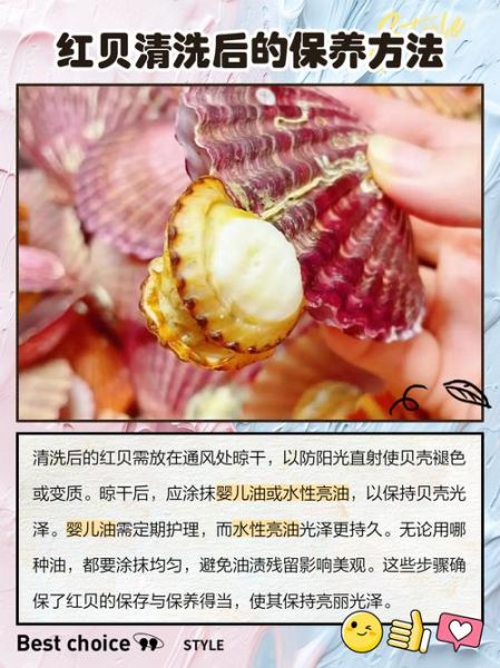 贝壳怎么洗最快最干净_贝壳清洗的正确方法-第2张图片-山城妙识 贝壳怎么洗最快最干净_贝壳清洗的正确方法-第2张图片-山城妙识