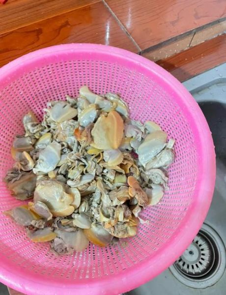 河蚌怎么洗干净_河蚌清洗去泥沙技巧-第2张图片-山城妙识