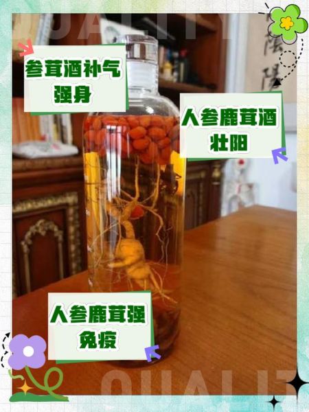 鹿茸泡酒的功效与禁忌_哪些人不能喝-第1张图片-山城妙识 鹿茸泡酒的功效与禁忌_哪些人不能喝-第1张图片-山城妙识