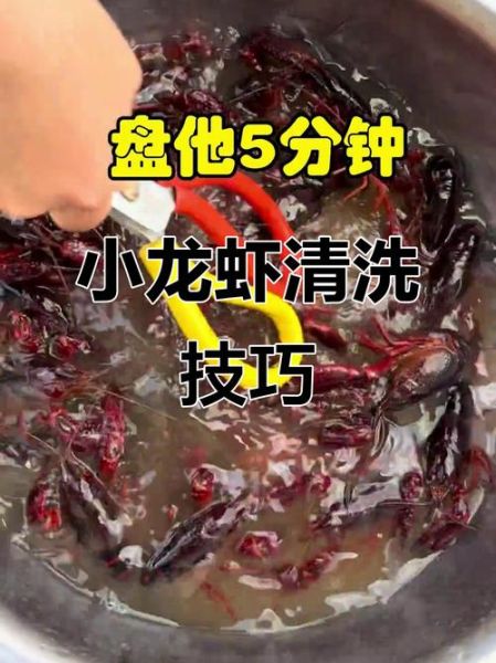 龙虾怎么清洗_龙虾怎么处理干净图解-第2张图片-山城妙识