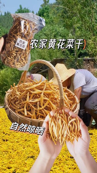 干黄花菜治失眠吃天天吃吗_干黄花菜治失眠的正确吃法-第2张图片-山城妙识