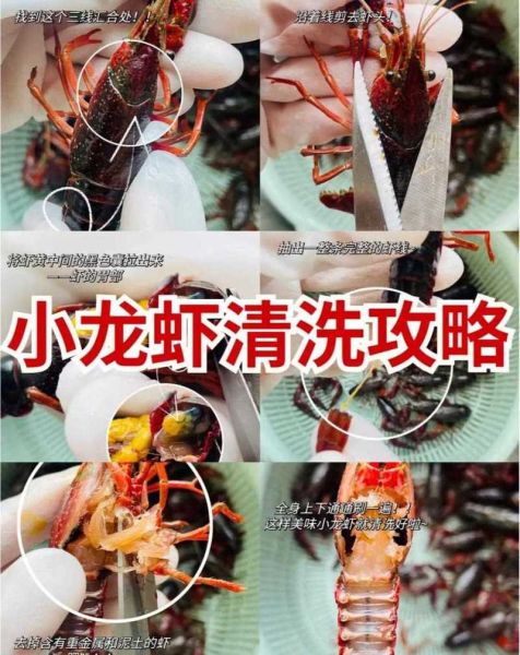 龙虾怎么清洗_龙虾怎么处理干净图解-第3张图片-山城妙识