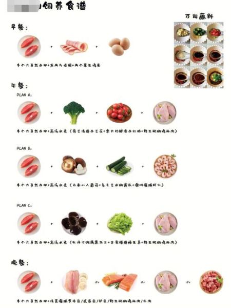 西柚减肥法原理_西柚怎么吃才能瘦-第1张图片-山城妙识 西柚减肥法原理_西柚怎么吃才能瘦-第1张图片-山城妙识