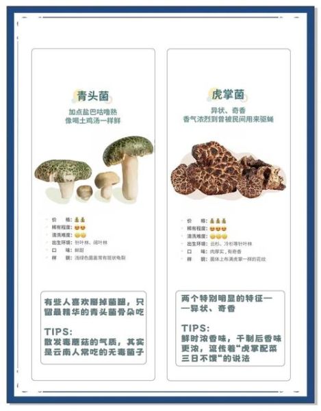 野生菌怎么炒好吃_野生菌做法大全-第2张图片-山城妙识 野生菌怎么炒好吃_野生菌做法大全-第2张图片-山城妙识