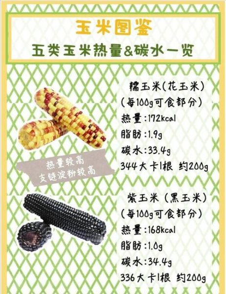 吃玉米会胖吗_玉米热量高吗-第1张图片-山城妙识 吃玉米会胖吗_玉米热量高吗-第1张图片-山城妙识