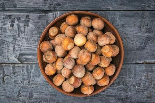 榛子树几年结果_如何种植榛子树-第1张图片-山城妙识 榛子树几年结果_如何种植榛子树-第1张图片-山城妙识