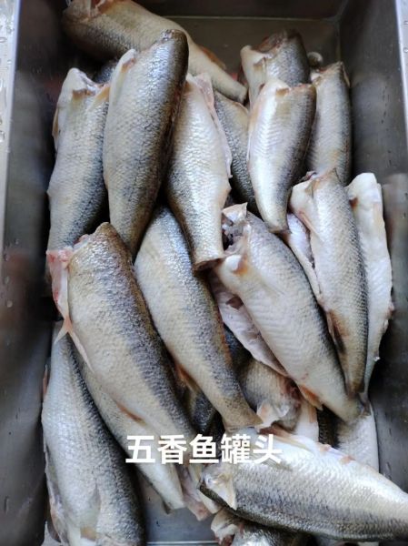 鱼罐头吃多了有害处吗_长期吃会不会致癌-第2张图片-山城妙识 鱼罐头吃多了有害处吗_长期吃会不会致癌-第2张图片-山城妙识