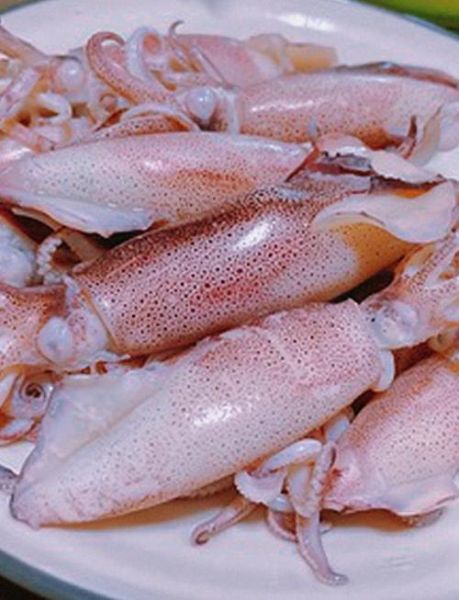 鱿鱼怎么清理干净_鱿鱼怎么处理干净-第1张图片-山城妙识