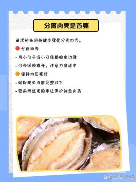 鲍鱼怎么去内脏图解_鲍鱼内脏清理步骤-第2张图片-山城妙识