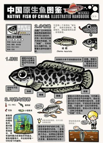 鯮鱼灭绝了吗_鯮鱼灭绝原因是什么-第1张图片-山城妙识