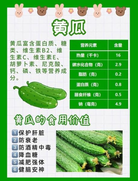 黄瓜的营养价值有哪些_吃黄瓜能减肥吗-第1张图片-山城妙识