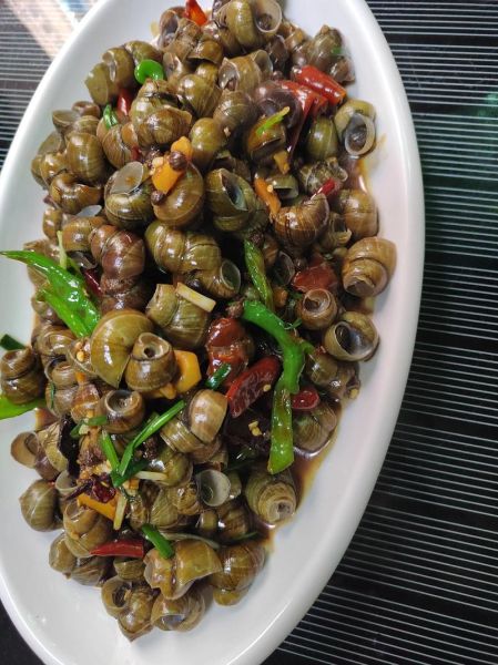 螺蛳的做法有几种_螺蛳怎么做好吃-第1张图片-山城妙识 螺蛳的做法有几种_螺蛳怎么做好吃-第1张图片-山城妙识