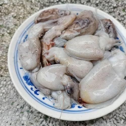 小墨鱼仔怎么清洗_小墨鱼仔清洗技巧-第3张图片-山城妙识 小墨鱼仔怎么清洗_小墨鱼仔清洗技巧-第3张图片-山城妙识
