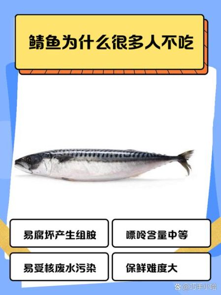 鲭鱼在中国叫什么名字_鲭鱼别名有哪些-第2张图片-山城妙识 鲭鱼在中国叫什么名字_鲭鱼别名有哪些-第2张图片-山城妙识