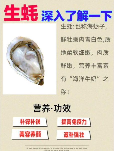 海蛎的营养价值_海蛎的功效与作用-第3张图片-山城妙识 海蛎的营养价值_海蛎的功效与作用-第3张图片-山城妙识