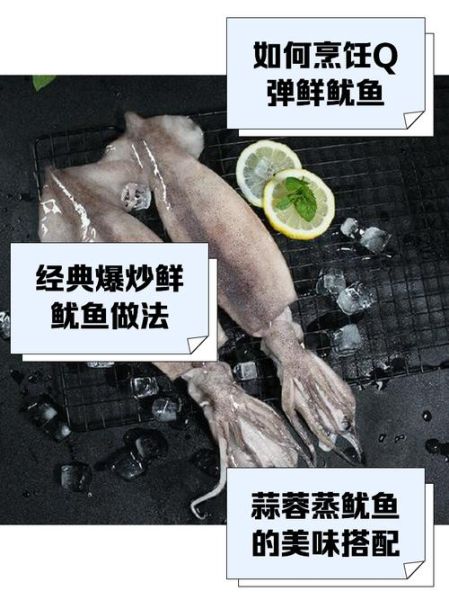 鲜鱿鱼怎么处理_鲜鱿鱼怎么做好吃-第1张图片-山城妙识 鲜鱿鱼怎么处理_鲜鱿鱼怎么做好吃-第1张图片-山城妙识