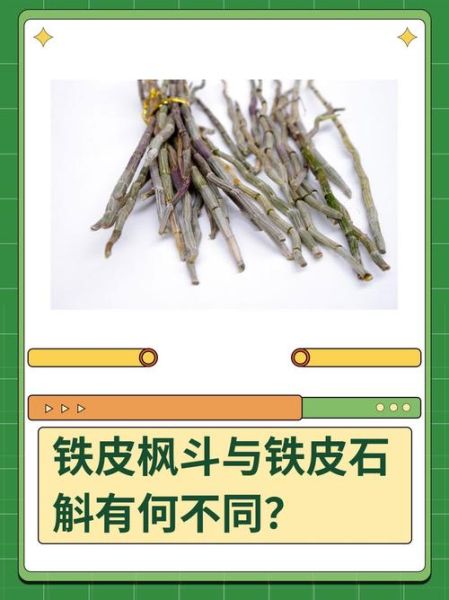 铁皮枫斗怎么吃_铁皮枫斗的吃法与禁忌-第1张图片-山城妙识 铁皮枫斗怎么吃_铁皮枫斗的吃法与禁忌-第1张图片-山城妙识