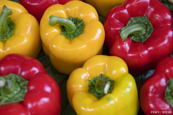 彩椒辣吗_彩椒和辣椒区别-第1张图片-山城妙识