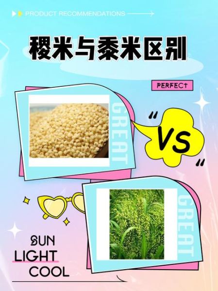 黍稷是什么农作物_黍稷和小米的区别-第1张图片-山城妙识