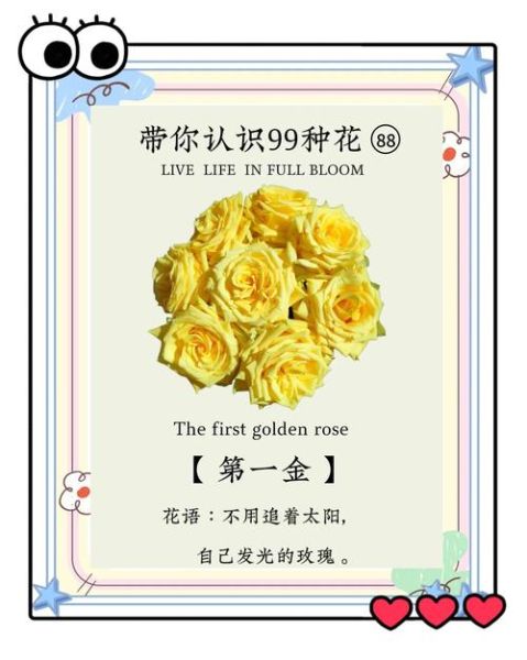 黄玫瑰花语是什么_黄玫瑰适合送什么人-第1张图片-山城妙识