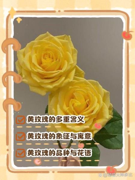 黄玫瑰花语是什么_黄玫瑰适合送什么人-第3张图片-山城妙识