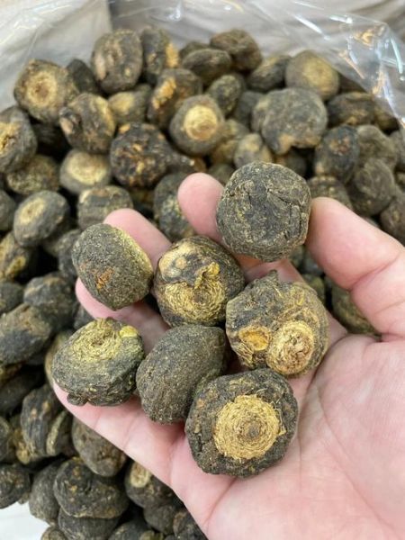 玛卡泡水喝的功效与作用_玛卡泡水喝的正确方法-第3张图片-山城妙识 玛卡泡水喝的功效与作用_玛卡泡水喝的正确方法-第3张图片-山城妙识