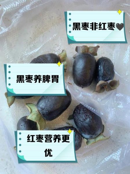 黑枣图片大全大图_黑枣和红枣的区别-第2张图片-山城妙识 黑枣图片大全大图_黑枣和红枣的区别-第2张图片-山城妙识