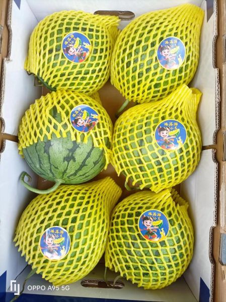 特小凤西瓜为什么黄瓤_特小凤西瓜产地哪里-第1张图片-山城妙识 特小凤西瓜为什么黄瓤_特小凤西瓜产地哪里-第1张图片-山城妙识