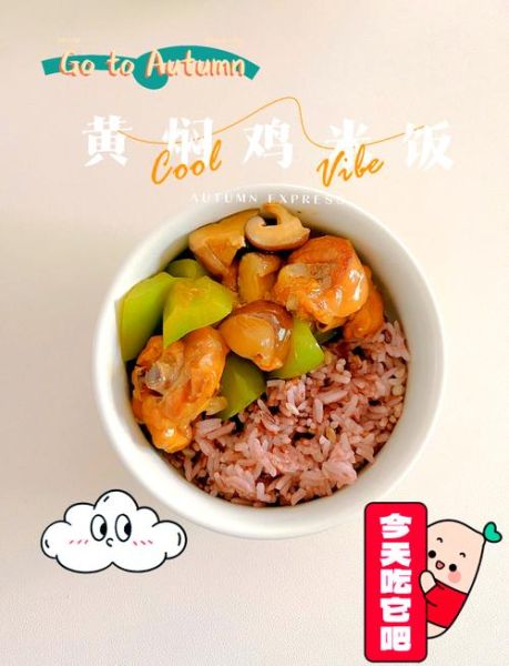 黄焖鸡米饭怎么做_黄焖鸡米饭用什么鸡肉最好-第1张图片-山城妙识