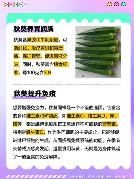 秋葵没熟会中毒吗_生吃秋葵安全吗-第2张图片-山城妙识 秋葵没熟会中毒吗_生吃秋葵安全吗-第2张图片-山城妙识