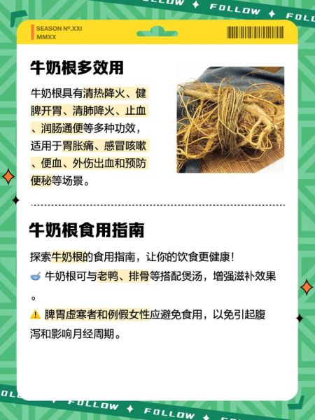 牛奶根煲汤禁忌_什么人不能喝-第3张图片-山城妙识