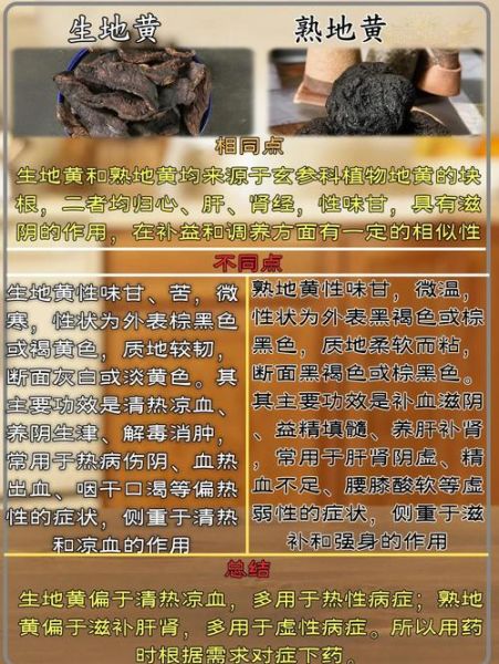生地的功效与作用及食用方法_生地怎么吃不上火-第3张图片-山城妙识