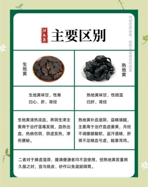 生地的功效与作用及食用方法_生地怎么吃不上火-第1张图片-山城妙识