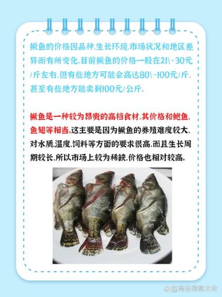 野鳜鱼价格一斤多少钱_野生鳜鱼多少钱一斤-第1张图片-山城妙识