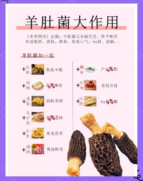 羊肚菌怎么吃最好_羊肚菌的吃法大全-第1张图片-山城妙识