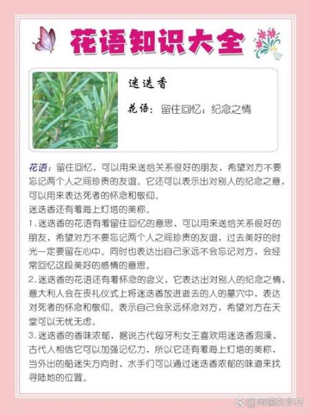 迷迭香的花语是什么_迷迭香代表什么意义-第1张图片-山城妙识 迷迭香的花语是什么_迷迭香代表什么意义-第1张图片-山城妙识