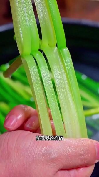 新鲜蒜苔怎么腌好吃_蒜苔腌制配方大全-第3张图片-山城妙识 新鲜蒜苔怎么腌好吃_蒜苔腌制配方大全-第3张图片-山城妙识