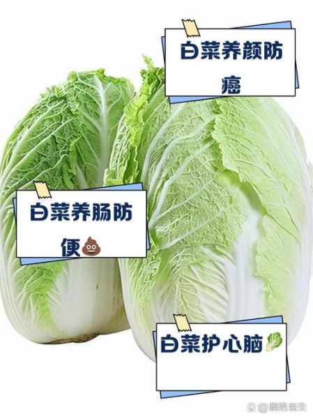 长期吃白菜的危害_天天吃白菜会缺营养吗-第3张图片-山城妙识 长期吃白菜的危害_天天吃白菜会缺营养吗-第3张图片-山城妙识