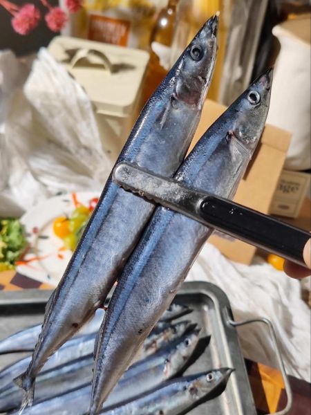 秋刀鱼是海鱼还是淡水鱼_秋刀鱼生活在哪里-第1张图片-山城妙识 秋刀鱼是海鱼还是淡水鱼_秋刀鱼生活在哪里-第1张图片-山城妙识